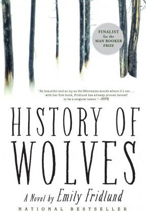 History of Wolves – Emily Fridlund – The Ludic Reader